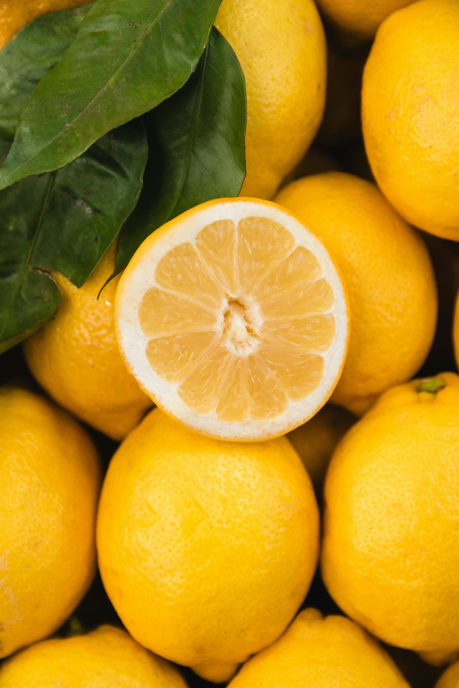 Fresh Produce Packing & Ripening | UK | Ripe Now Ltd