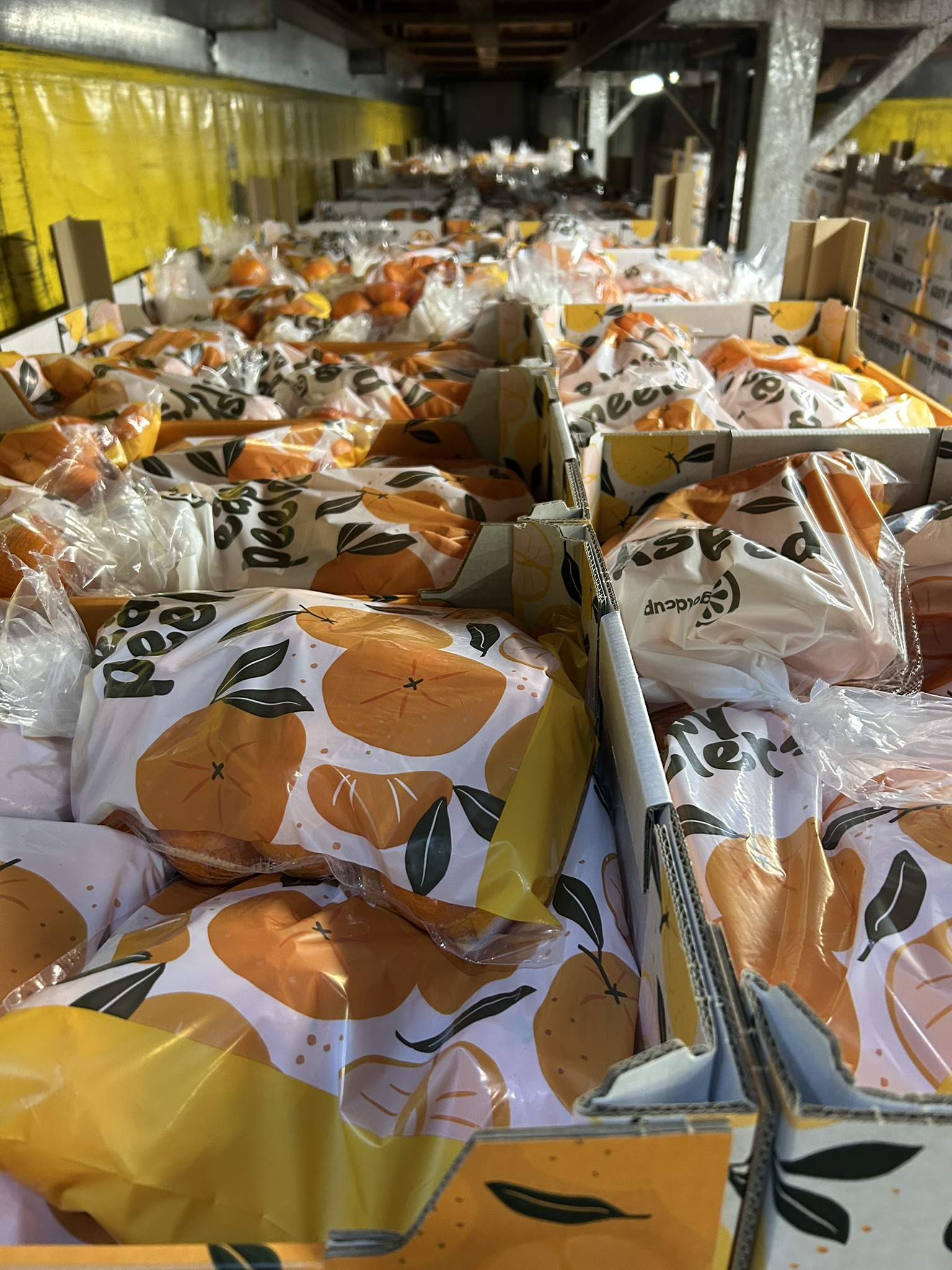Fresh Produce Packing & Ripening | UK | Ripe Now Ltd