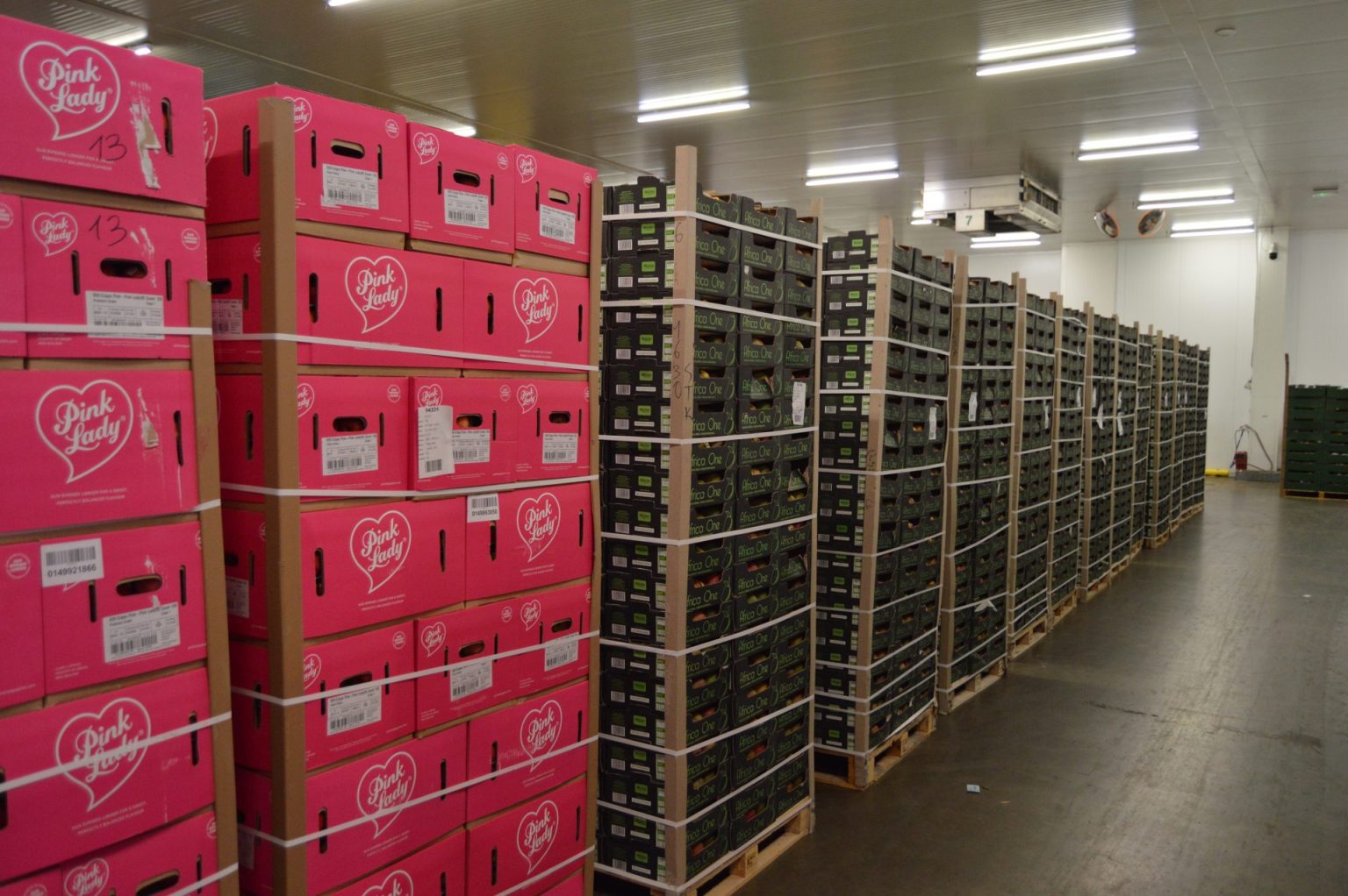 Fresh Produce Packing & Ripening | UK | Ripe Now Ltd