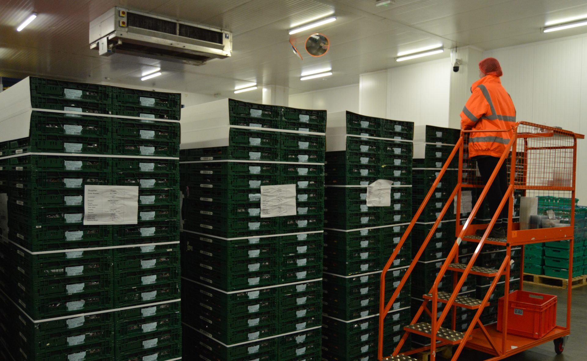 Fresh Produce Packing & Ripening | UK | Ripe Now Ltd