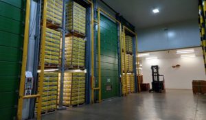 Fresh Produce Packing & Ripening | UK | Ripe Now Ltd