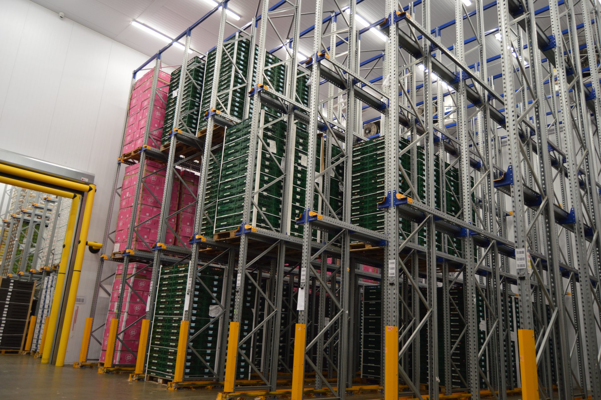 Fresh Produce Packing & Ripening | UK | Ripe Now Ltd